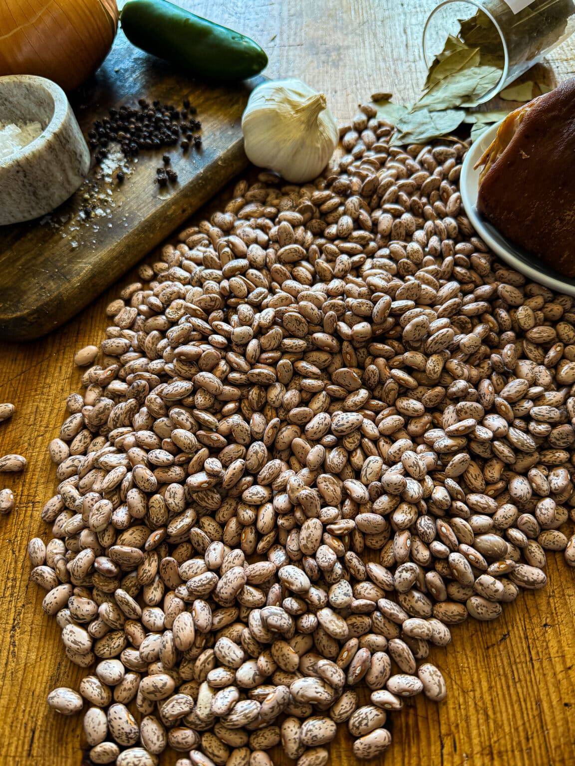 No-Soak Instant Pot Pinto Beans Recipe | Super Flavorful!