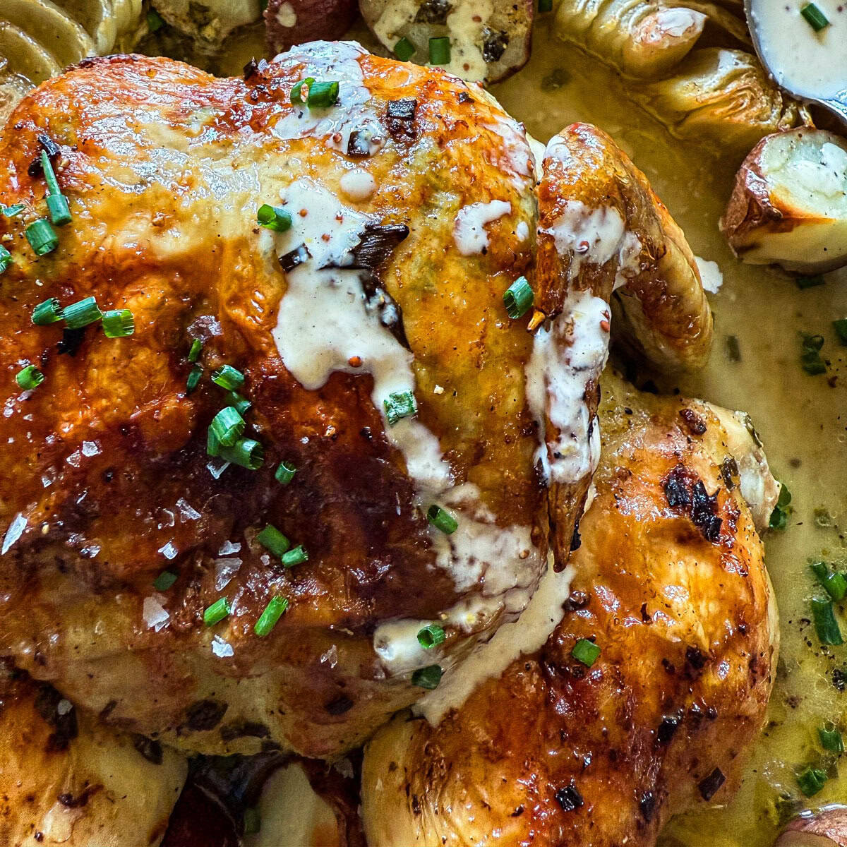 Oven-Roasted Spatchcock Chicken with Alabama White Sauce